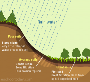 Part 2 | Factors Responsible for the Formation of Soil, Soil Profile ...