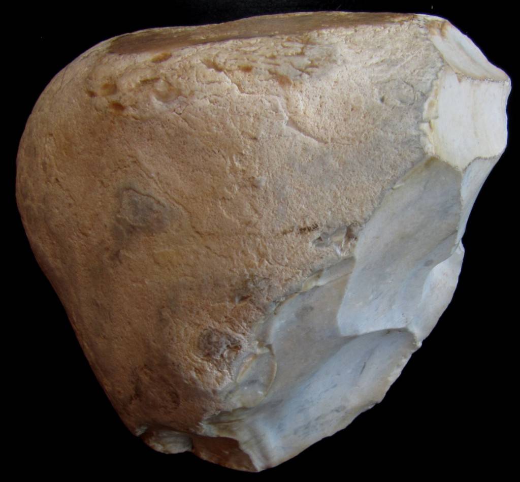 [Static Revision] Chapter 1 | Stone Age – Paleolithic, Mesolithic and ...