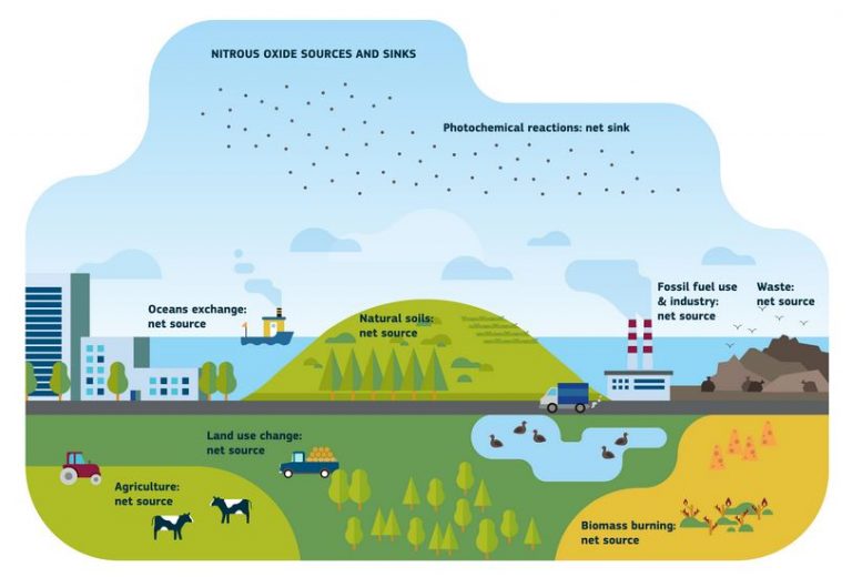 India is the World’s Second Largest emitter of Nitrous Oxide - Civilsdaily