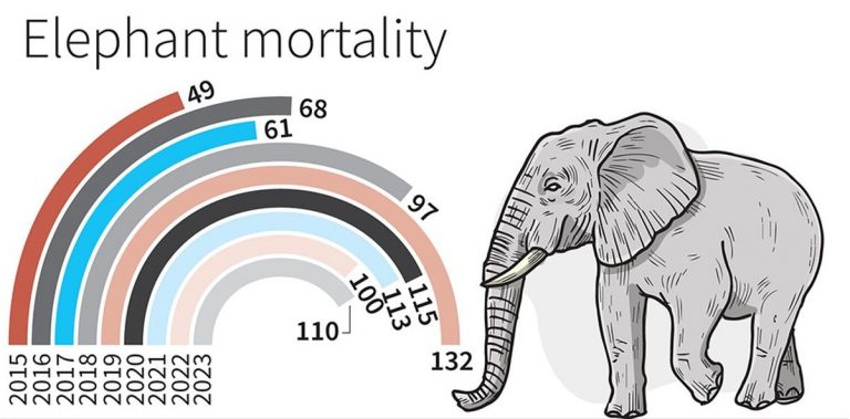 845 Elephant Deaths recorded in Kerala in eight years - Civilsdaily