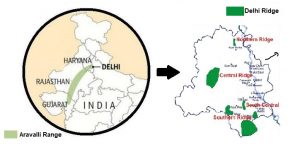 Afforestation in Delhi Ridge - Civilsdaily